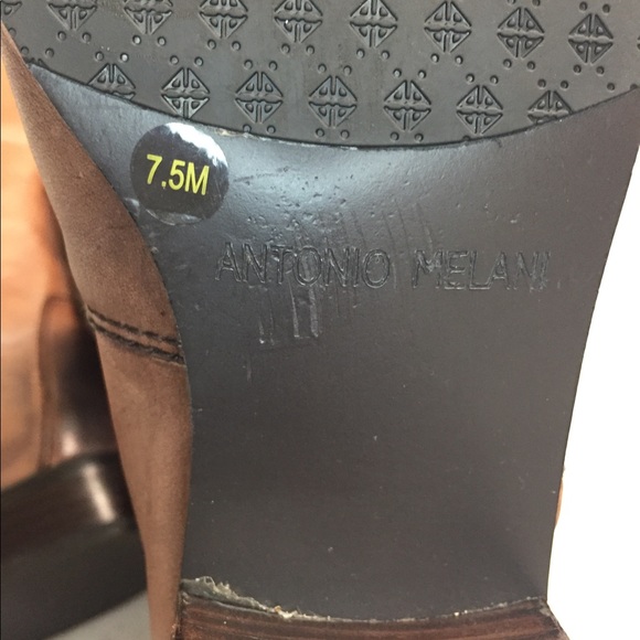 ANTONIO MELANI | Shoes | Antonio Melani Adele Tall Riding Boots 75 Brown | Poshmark